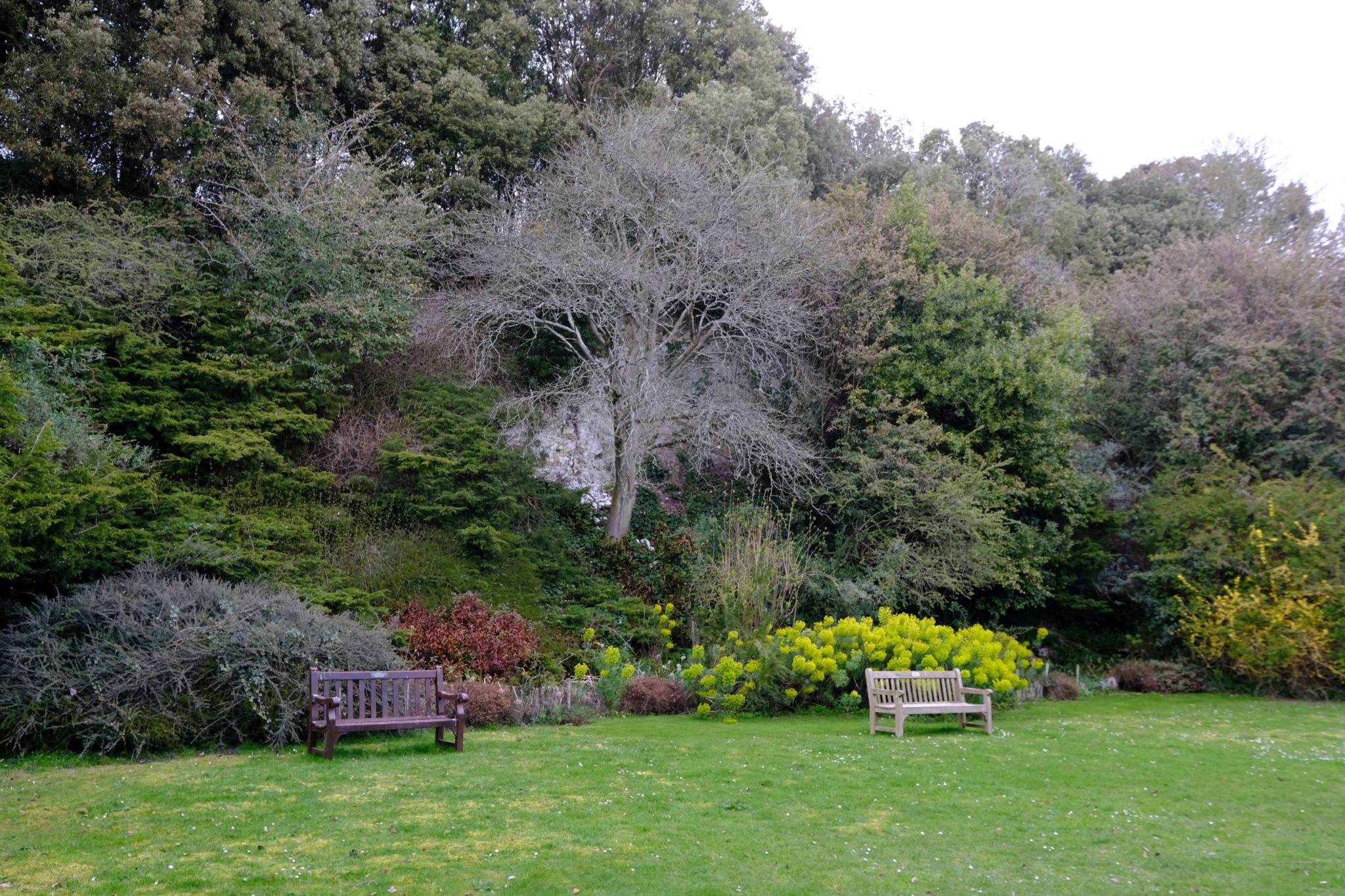 Chalk Pit – Highdown Gardens